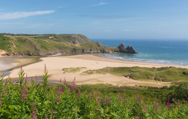 The Gower & South Wales Heritage